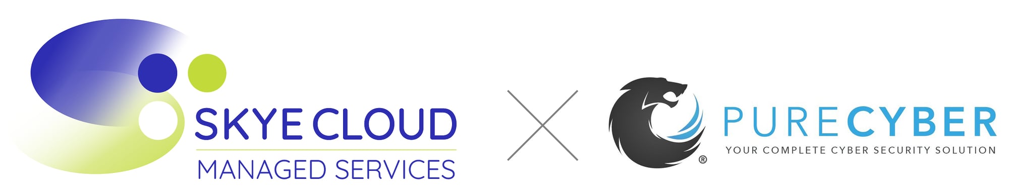 READ THE GUIDE TO SAFE REMOTE WORKING